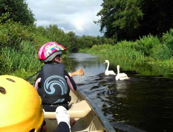16 Best Things to do in Carlow in 2026