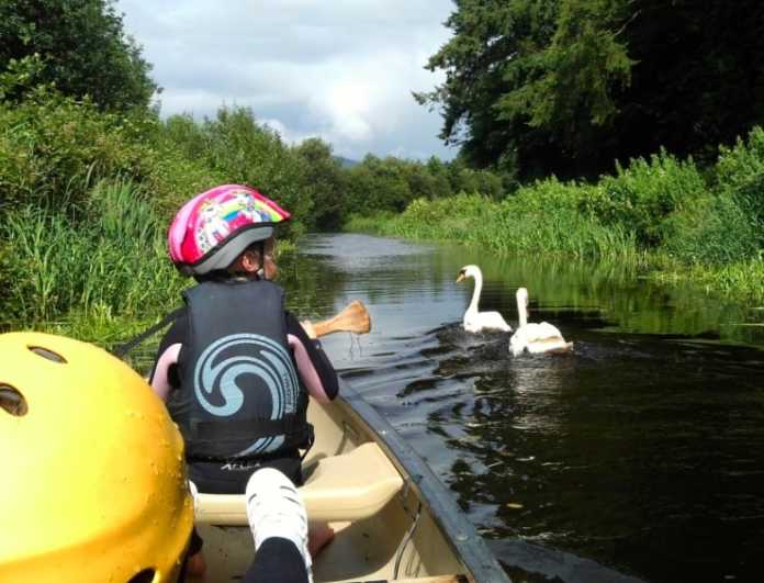 16 Best Things to do in Carlow in 2026
