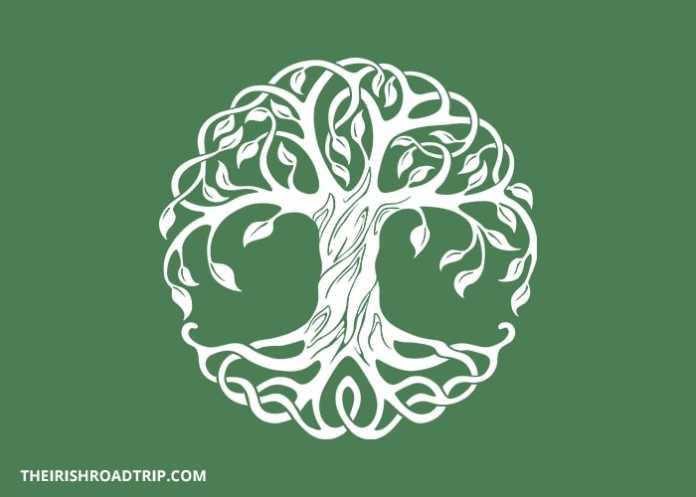How to Draw a Celtic Tree of Life Knot - Hansen Phers1963