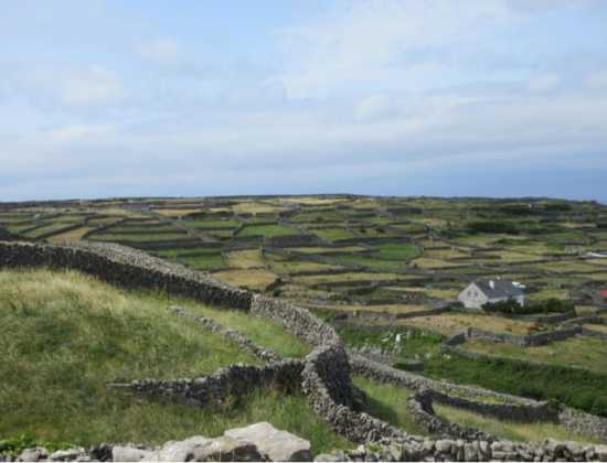 Inis Meáin / Inishmaan: A LOCALS Guide (Packed With Info)
