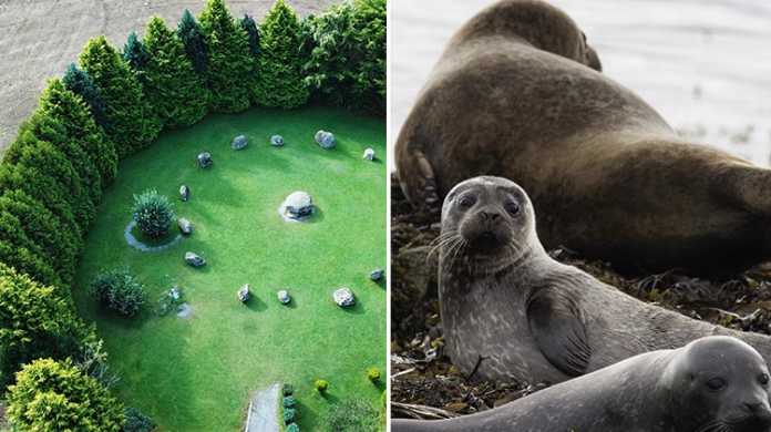 15 Best Things to do in Kenmare (2025 Visitor Guide)