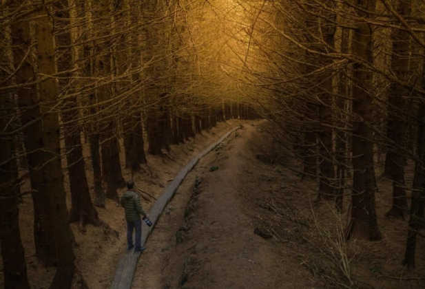 Ballinastoe Woods Walk (2022 Guide): Parking, Trail + MAP