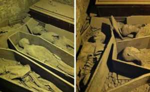 St Michan's Church: Tour, History + 2026 Info