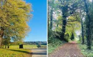 Slane Castle: Tour, Distillery, Walks + 2026 Guide