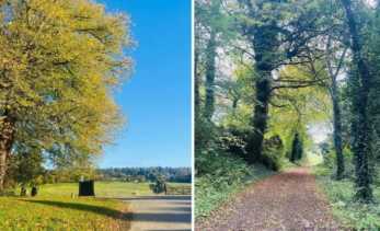 Slane Castle: Tour, Distillery, Walks + 2026 Guide