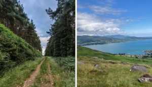 12 Best Walks in Louth (Cliff + Forest) in 2024