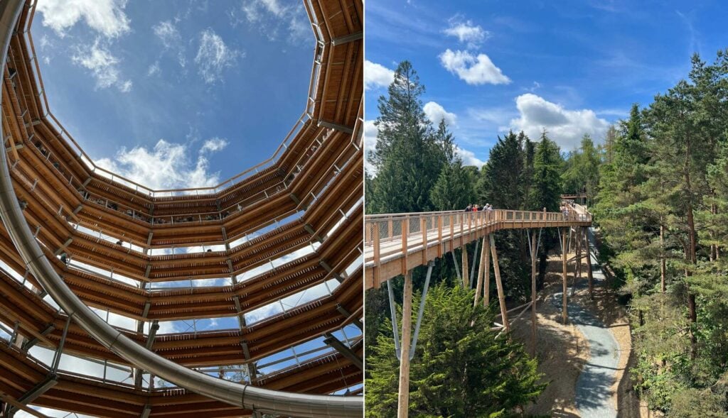 Beyond the Trees at Avondale: The 2025 Guide