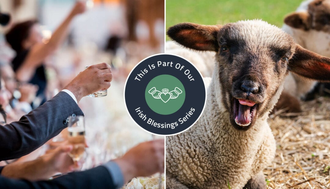 Funny Irish Blessings Friends + Family Will Love