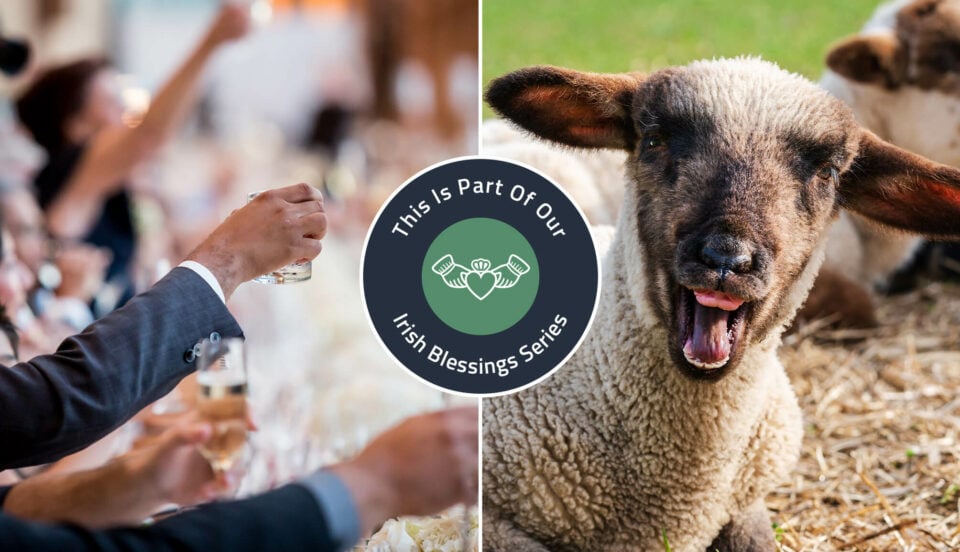 Funny Irish Blessings Friends + Family Will Love