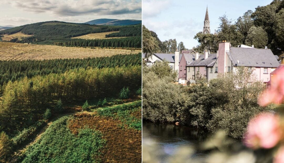 Red Kite Walk Avoca: Map, Parking + 2024 Info