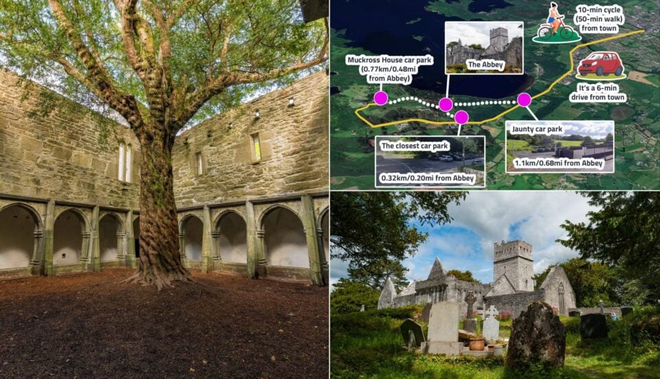 Muckross Abbey: History, Parking + The Ancient Yew