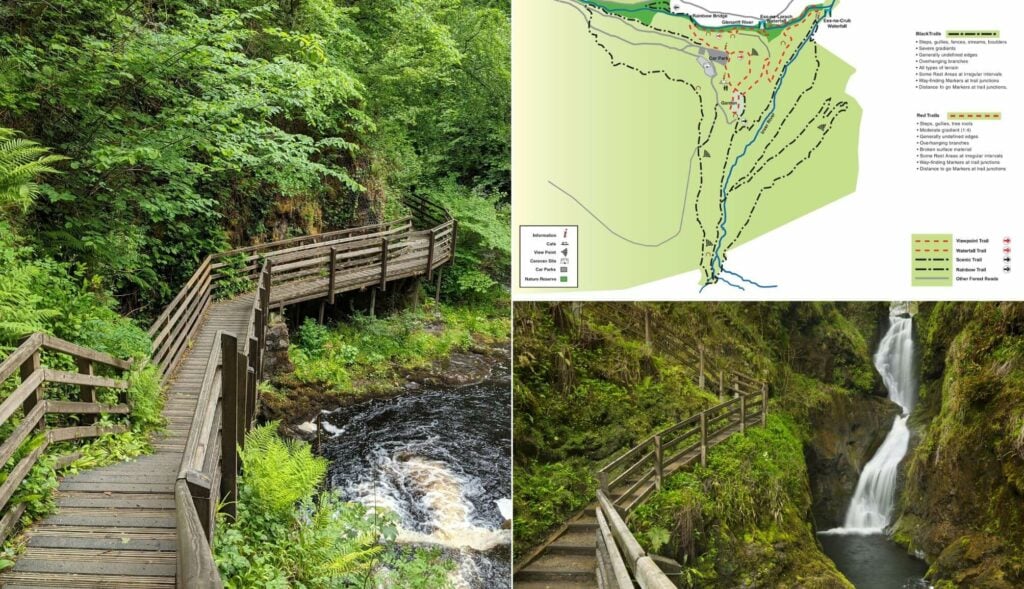 Glenariff Forest Park Walks: 4 to Try in 2025