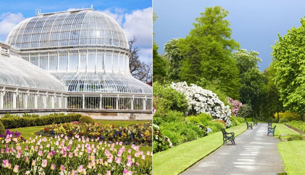 Botanic Gardens Belfast: History, Attractions + Map